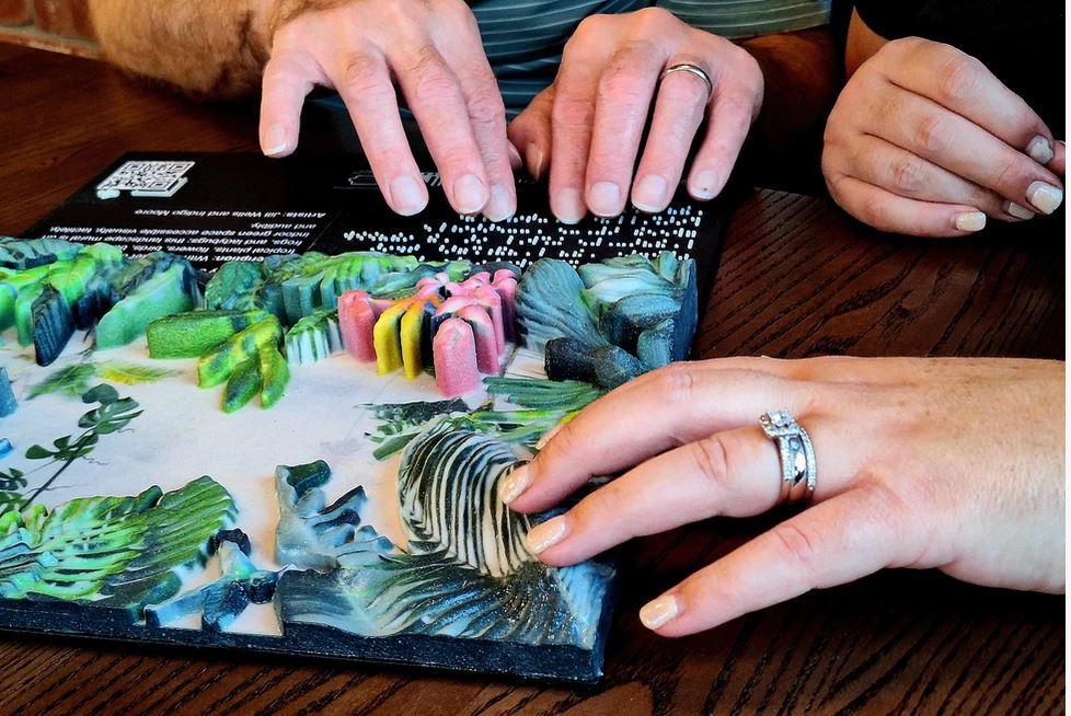 #NoSightNoLimits Our Favorite Stories This Year - Braille Works