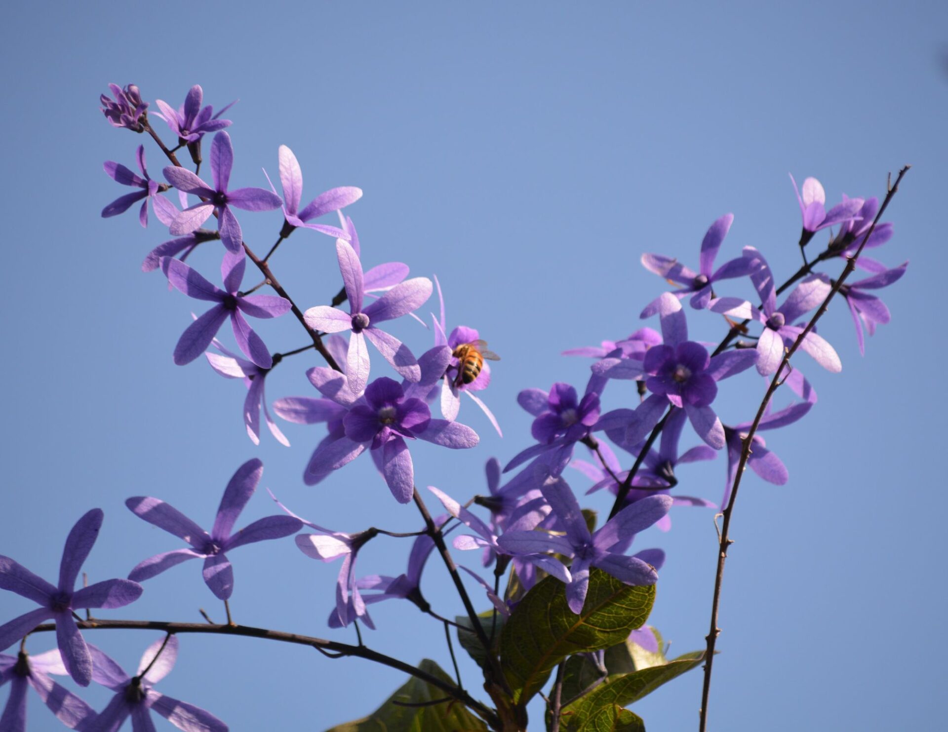 Braille Calendars - Attractive and Accessible - Braille Works