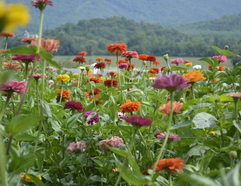 Braille Calendars - Attractive and Accessible - Braille Works