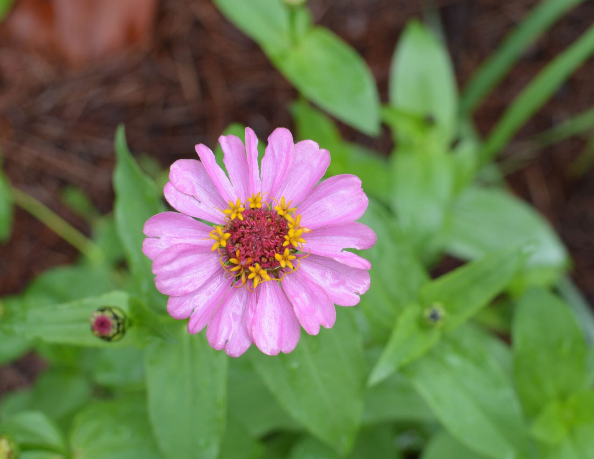 Braille Calendars - Attractive and Accessible - Braille Works